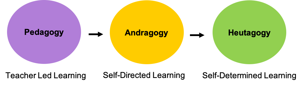 Adult Learning Theories – MacPherson Institute
