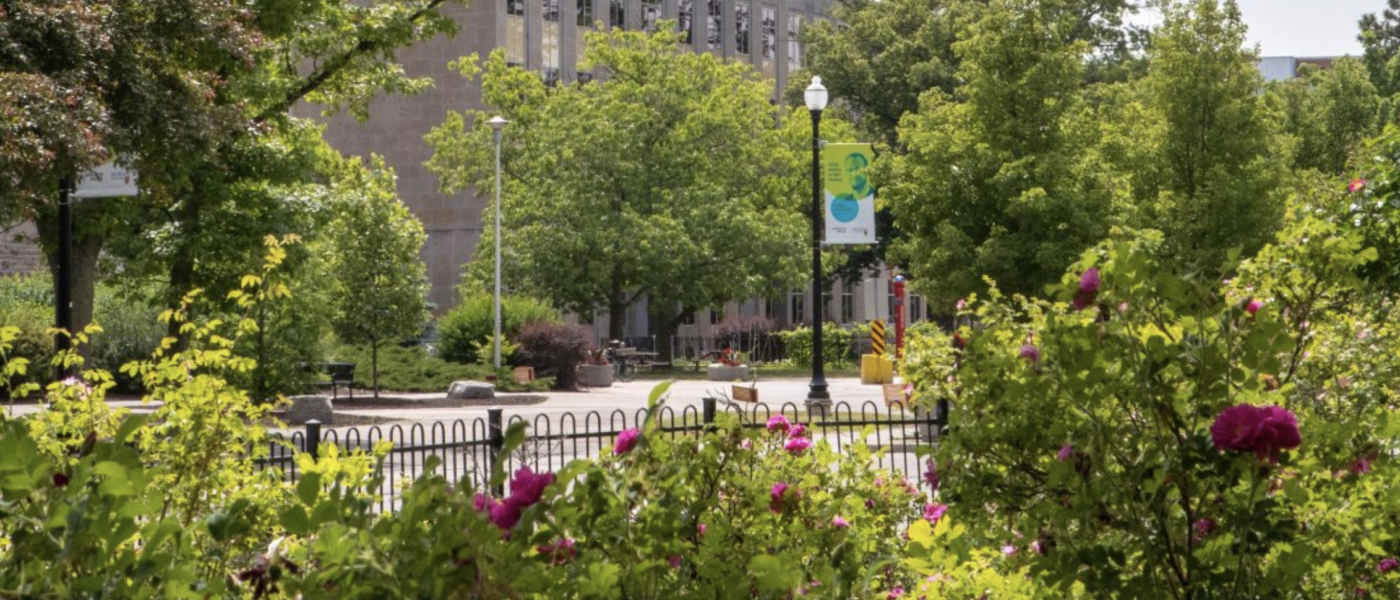 IQAP – MacPherson Institute