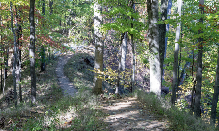 Reconciliation, Decolonization and Indigenization – MacPherson Institute